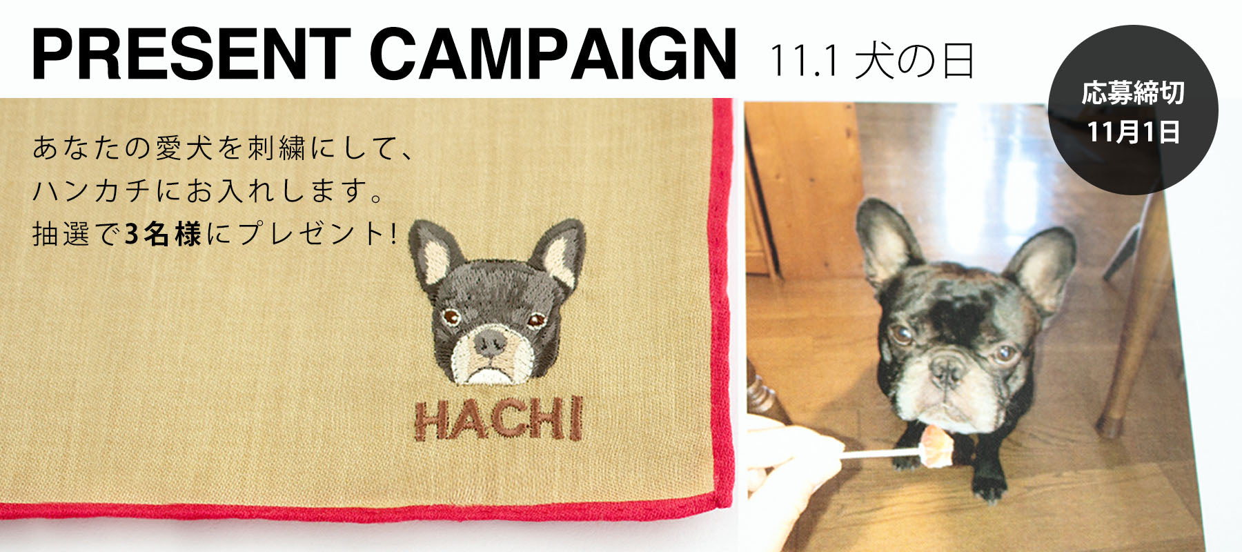 Dog Days" Giveaway Campaign on Official Instagram